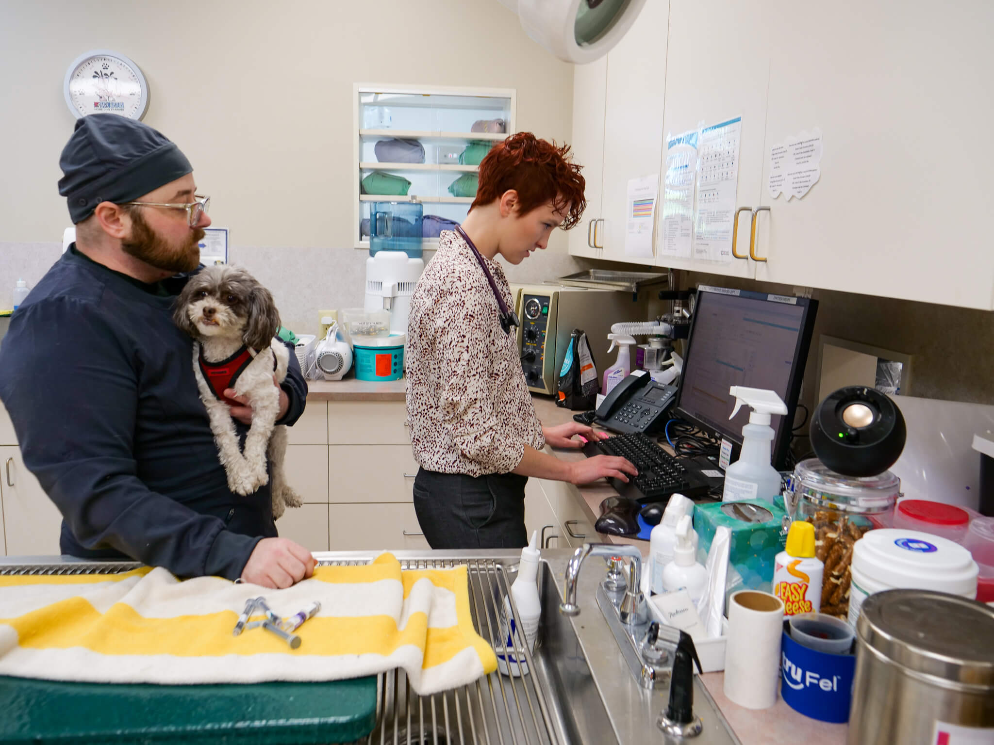 Animal Diagnostics | Edina Pet Hospital