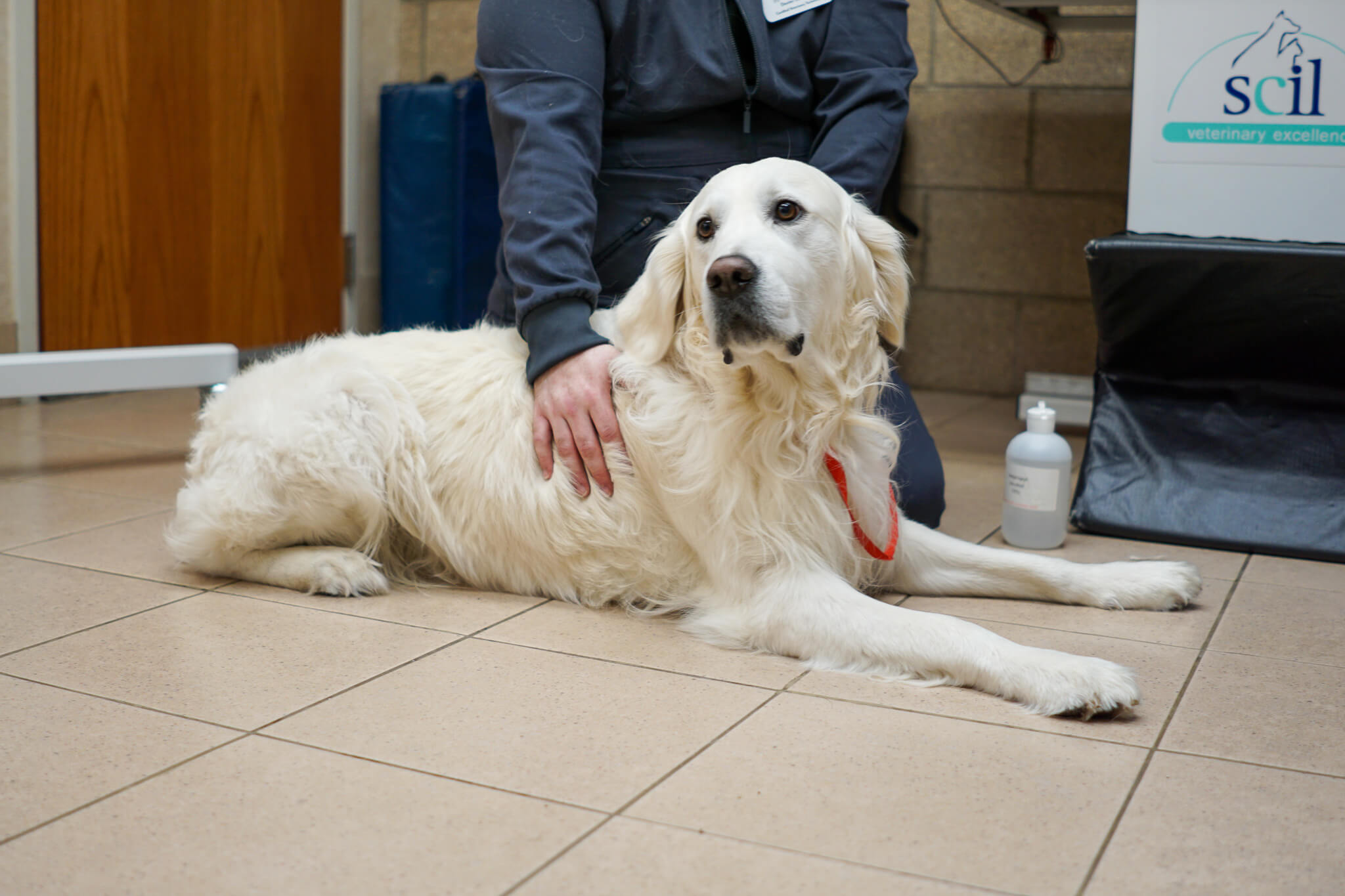 Animal Wellness Center | Edina Pet Hospital