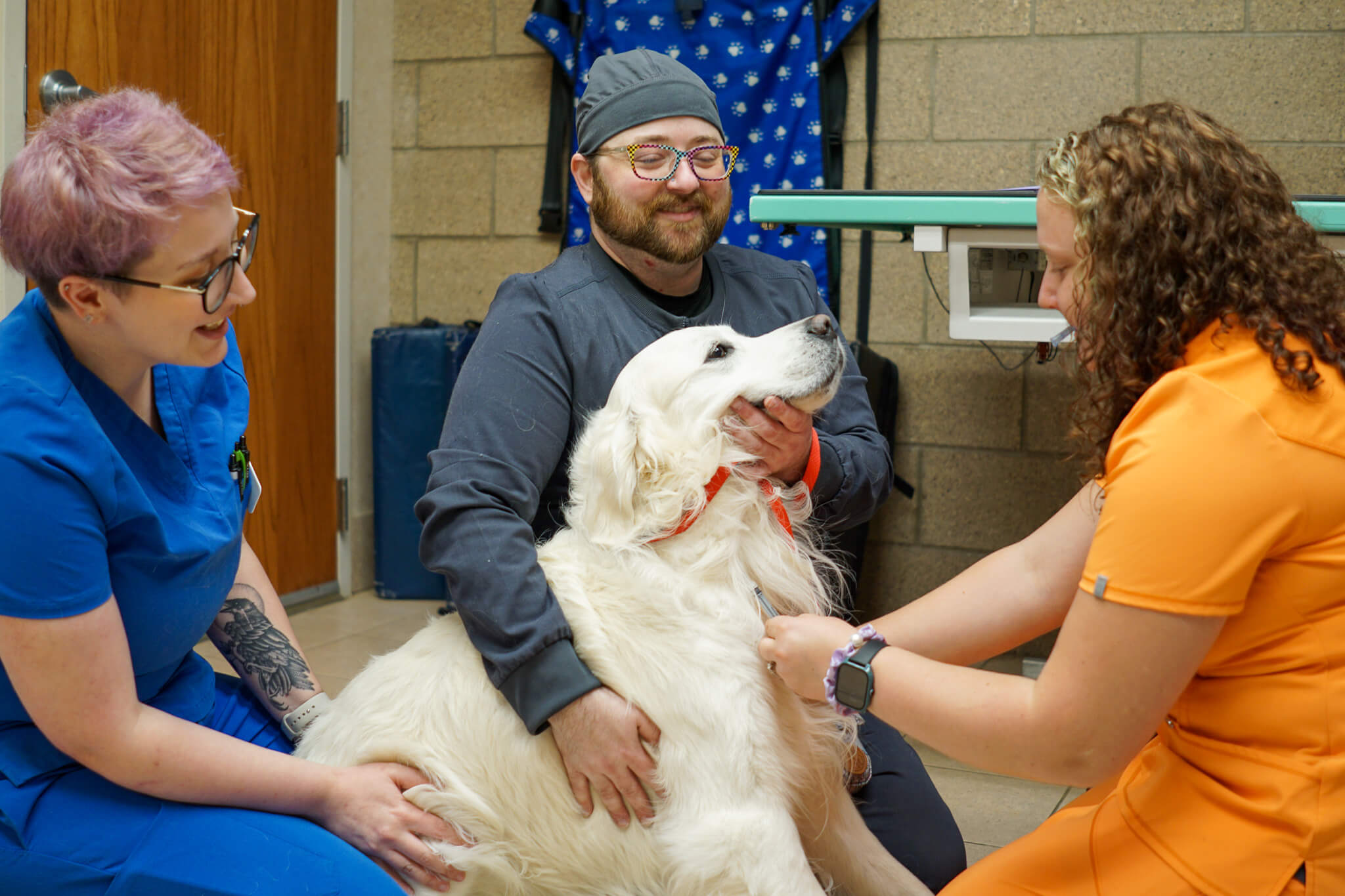 Animal Clinic in Edina, MN | Edina Pet Hospital